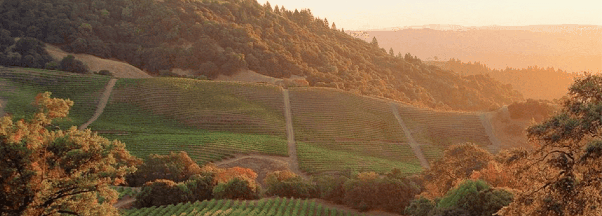 Water – Local Government Commission